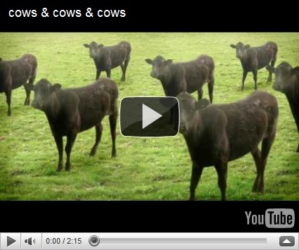 viral | Unclesi's Blog